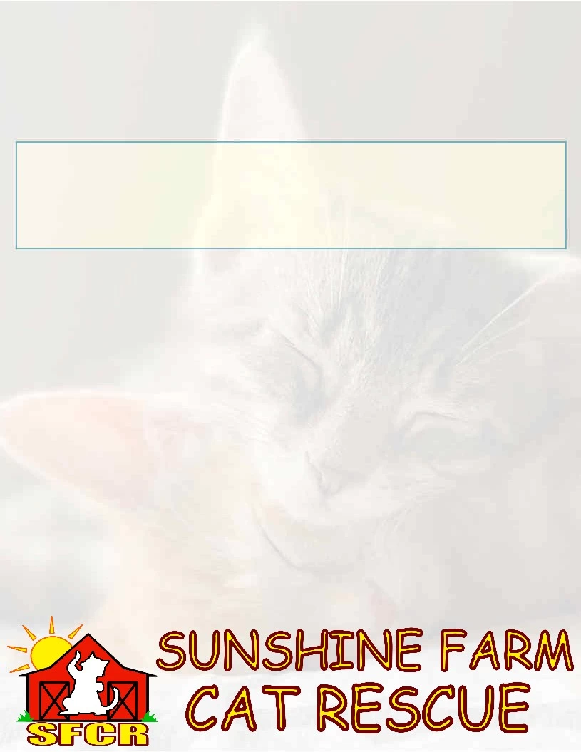 New – template-background-clinic-ticket-design – Sunshine Farm Cat Rescue